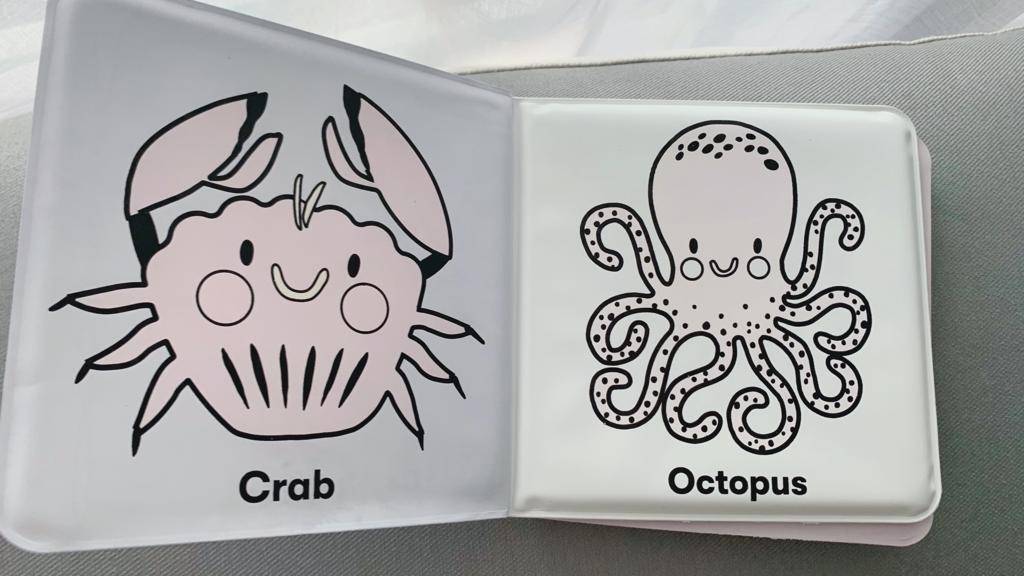 Color the Ocean Color Magic Bath Book